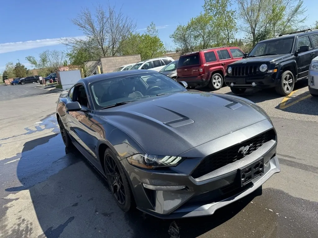 Used 2019 Ford Mustang for sale in Wixom, MI at Wixom Motors | VIN ...