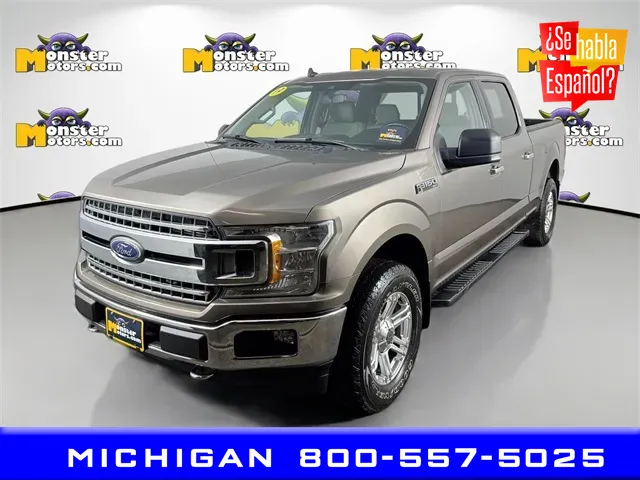 Used 2019 Ford F-150 XLT for sale in Michigan Center, MI at Monster ...