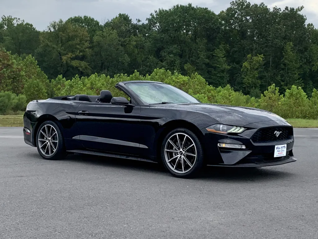 Used 2019 FORD MUSTANG for sale in Little Rock, AR at Bill Fitts Auto ...