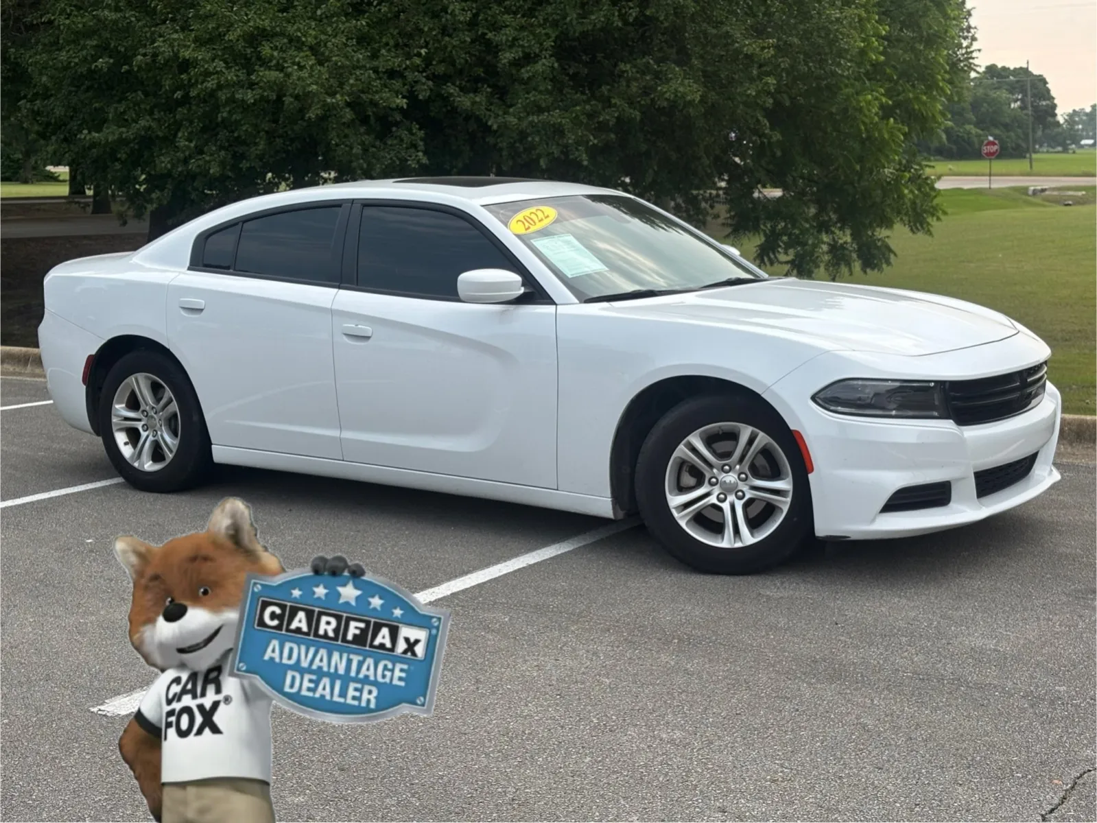Used 2022 Dodge Charger SXT for sale in Blytheville, AR at Tri-State ...